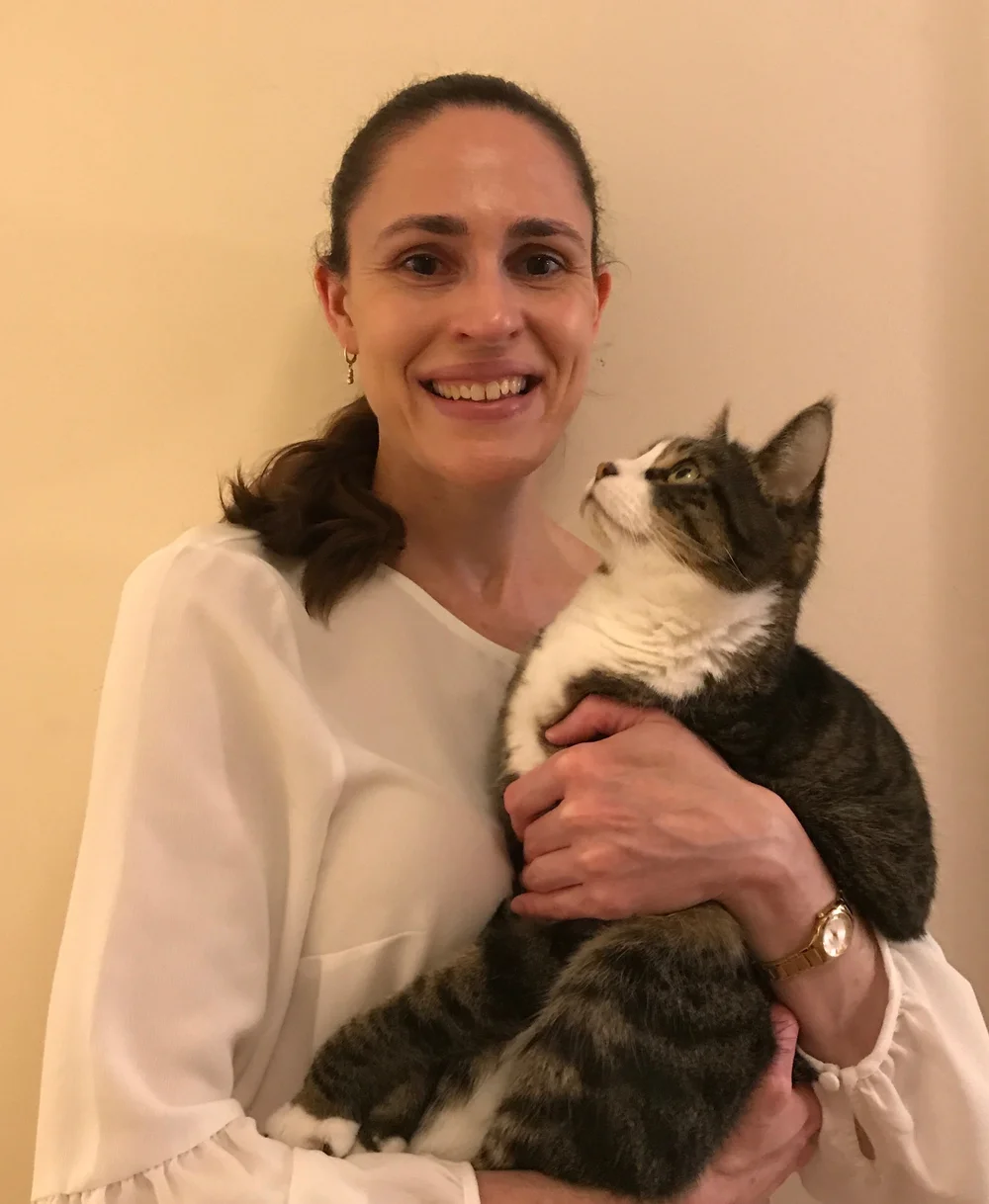 DOCTORS — City Cat Vets