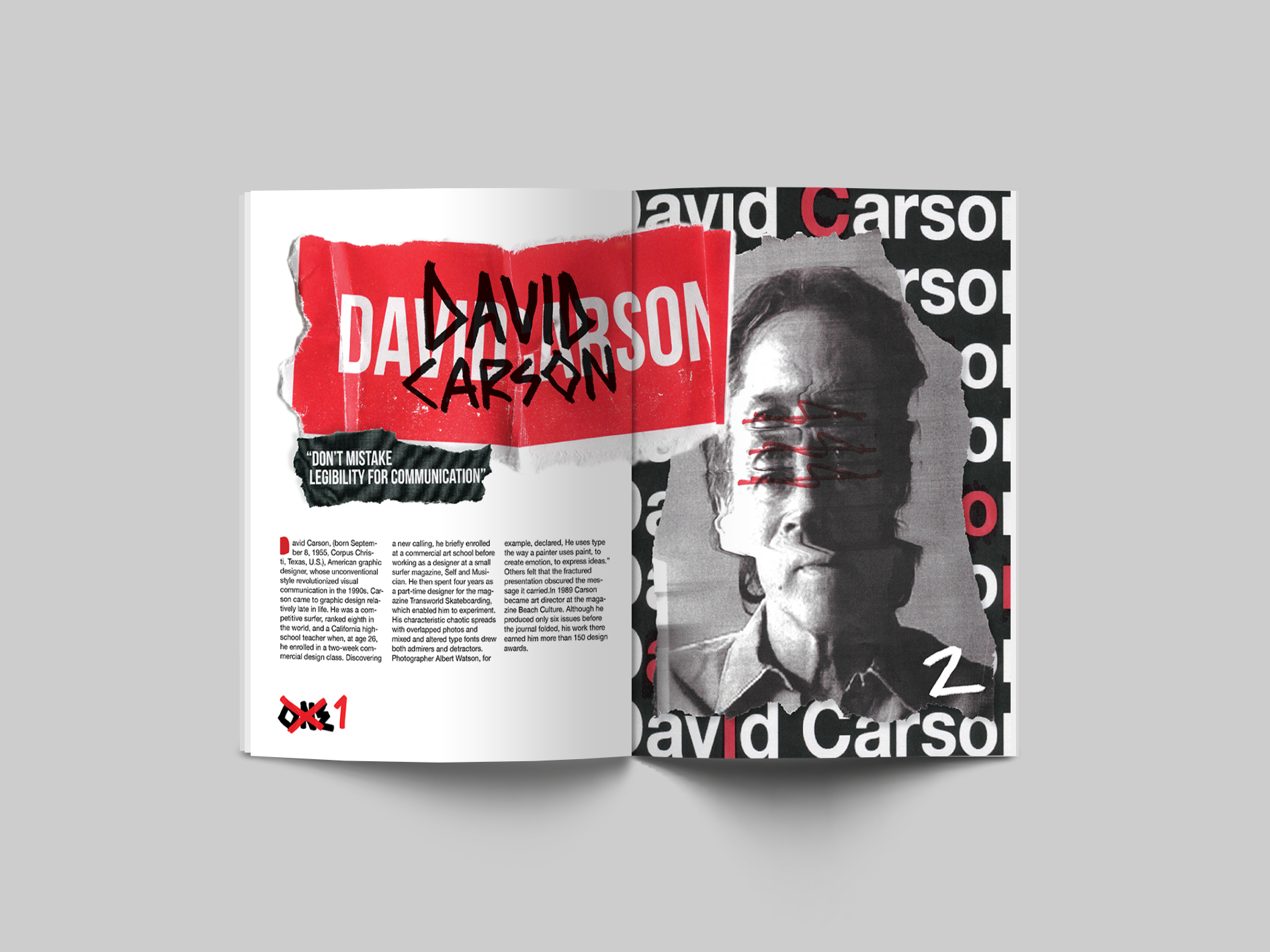 David Carson Transworld Skateboarding