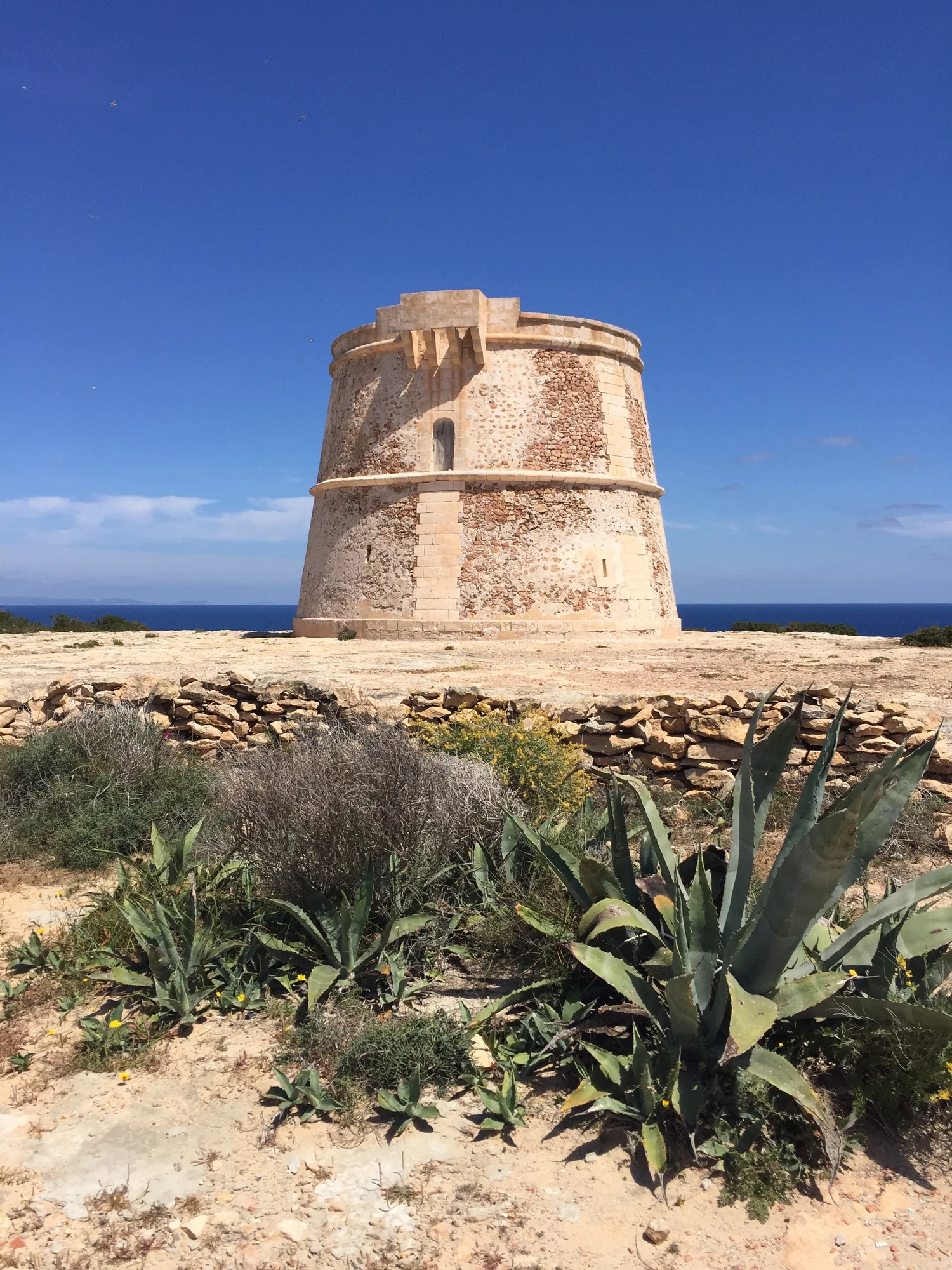 Formentera Day Trip Itinerary — Pickle Deli Square
