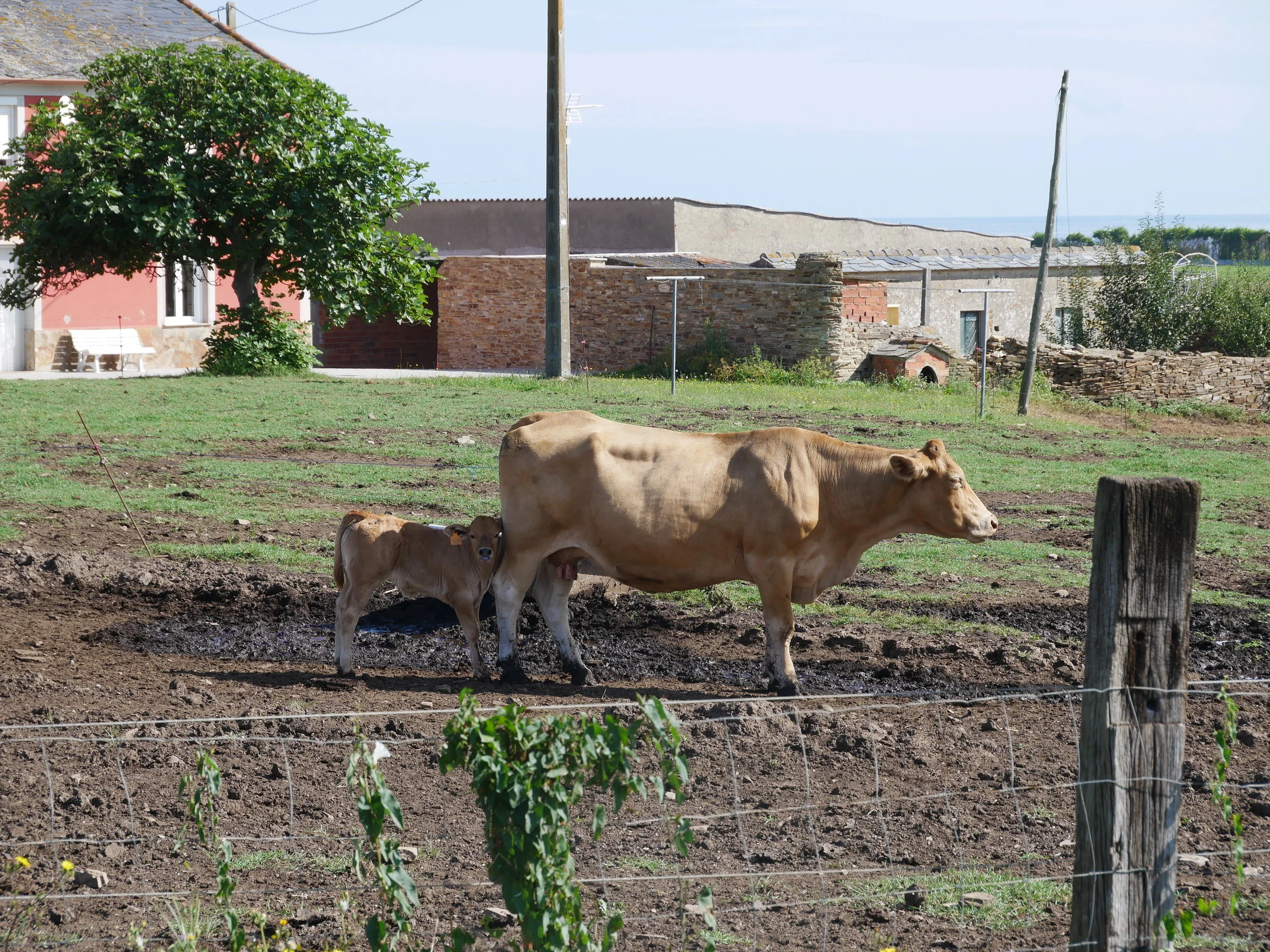 Traveling on Renfe's FEVE (now "Cercanías AM") Narrow-gauge Rail ...