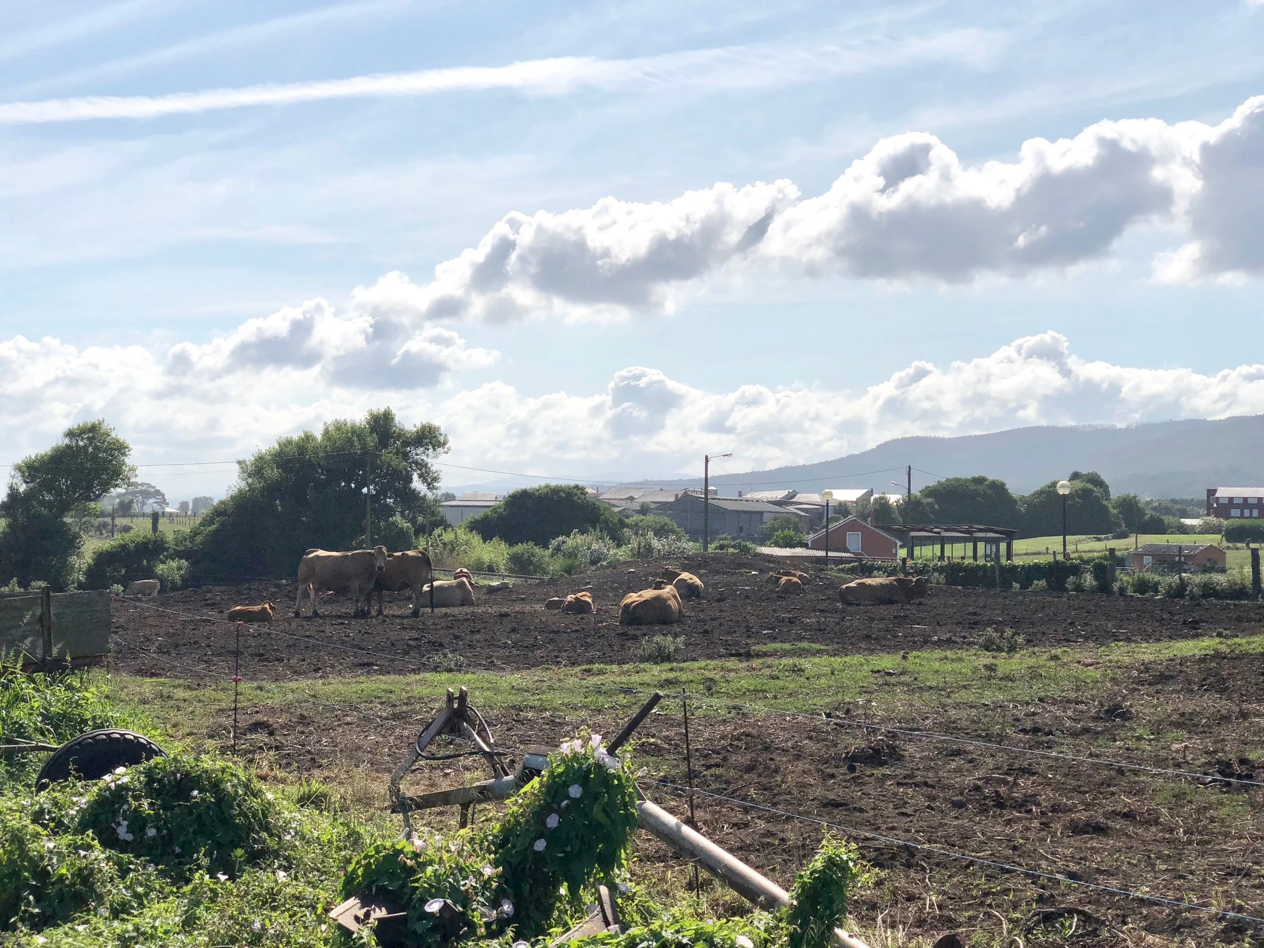 Traveling on Renfe's FEVE (now "Cercanías AM") Narrow-gauge Rail ...