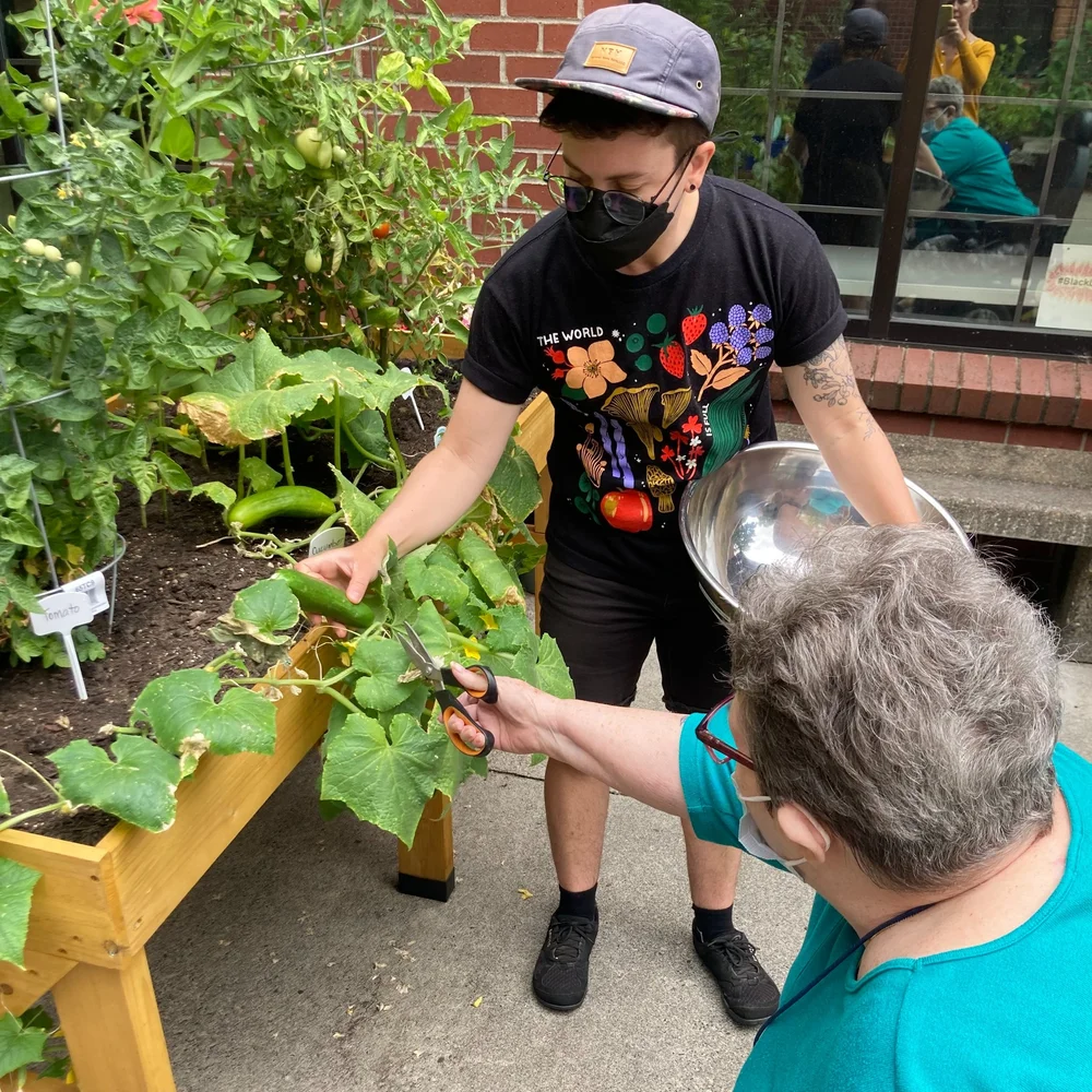 Grow Portland Senior Gardens