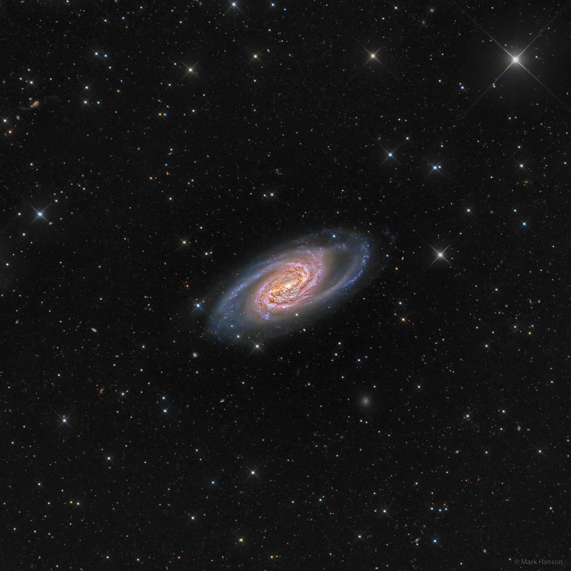 Hanson Astrophotography-NGC 2903