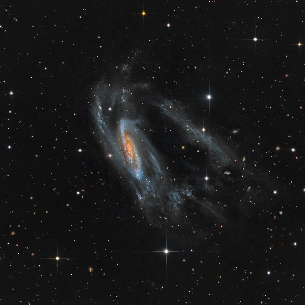 Hanson Astrophotography-NGC 3981