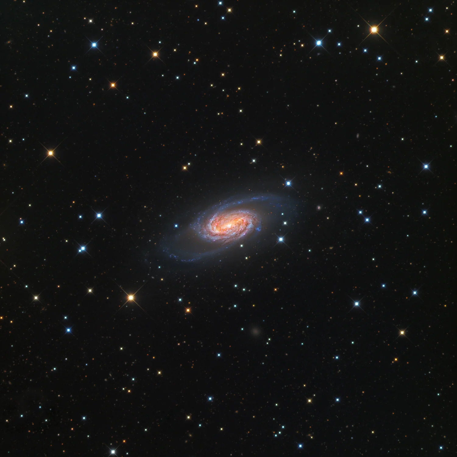 Hanson Astrophotography-NGC 2903