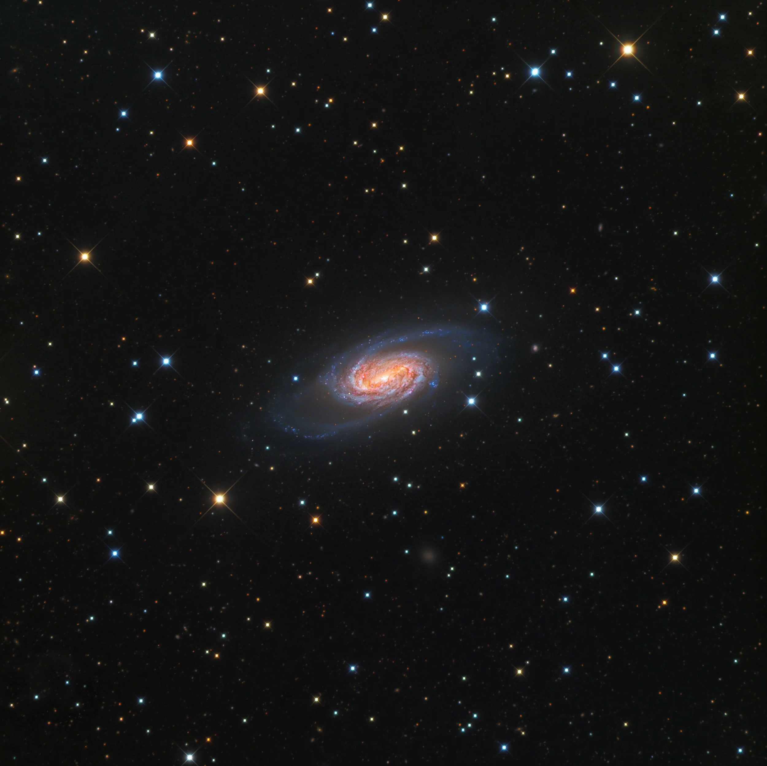 Hanson Astrophotography-NGC 2903