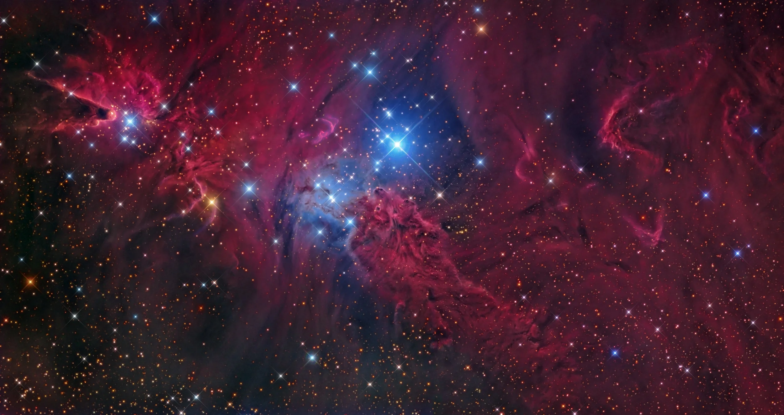 Hanson Astrophotography-Cone and Fox Fur Nebula