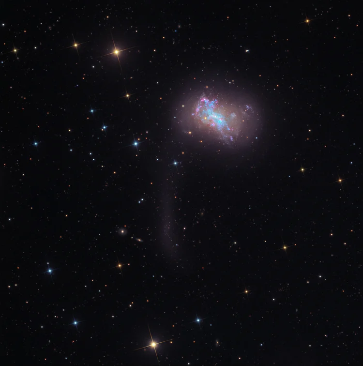 Hanson Astrophotography-NGC 4449