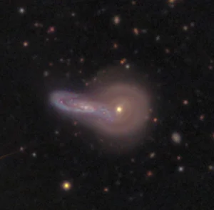 Hanson Astrophotography-NGC 5557