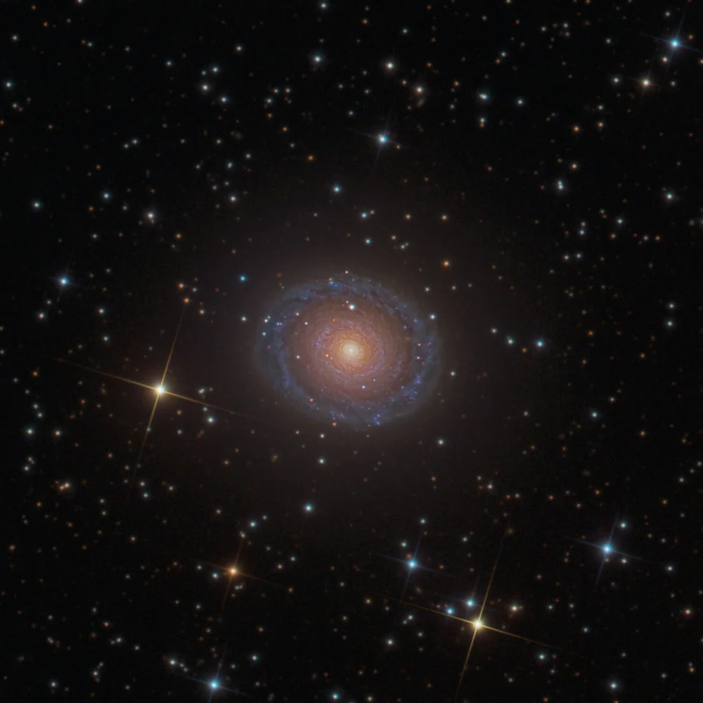 Hanson Astrophotography-NGC 7217