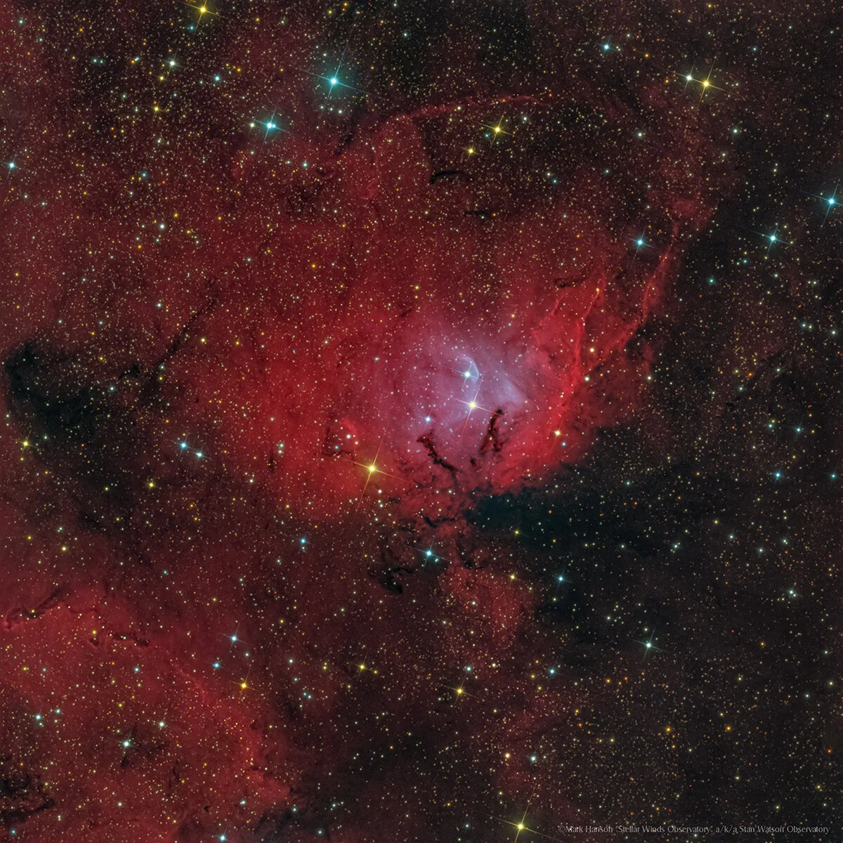 Hanson Astronomy Photos-Tulip Nebula