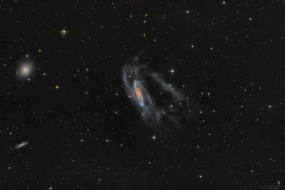 Hanson Astrophotography-NGC 3981