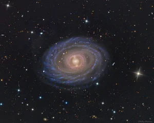 Hanson Astrophotography-NGC 1398