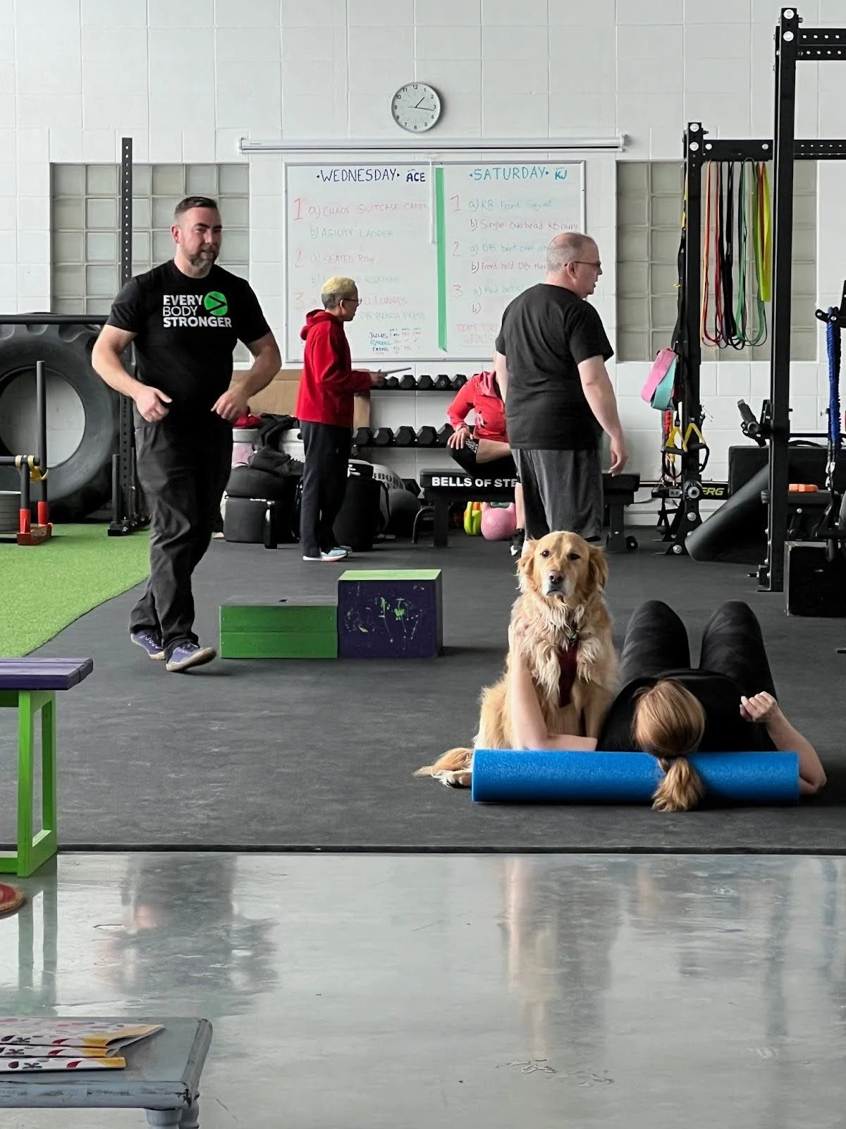 The Iron Oasis: Exercise is for Everyone at Every Body STRONGER — Pride ...