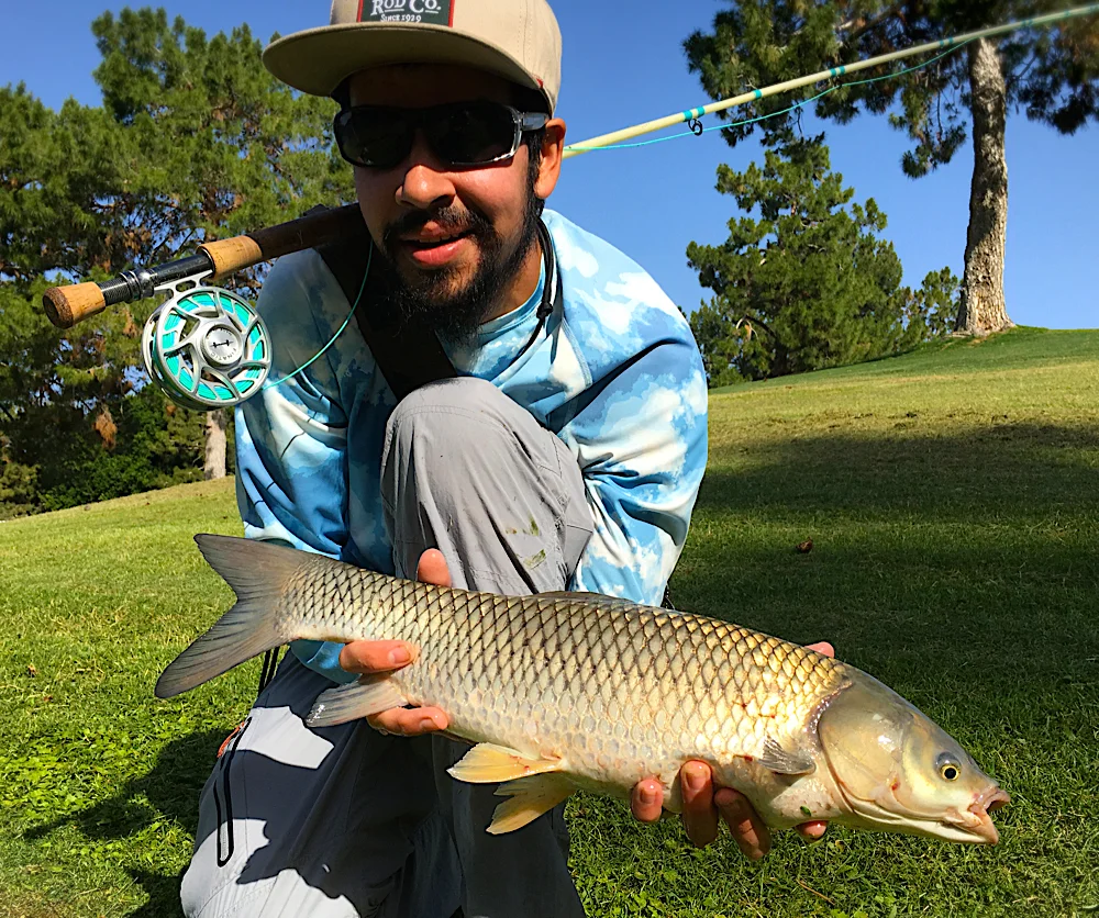 GRASS CARP — American Carp Society