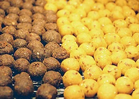 Boilies — American Carp Society