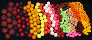 Boilies — American Carp Society