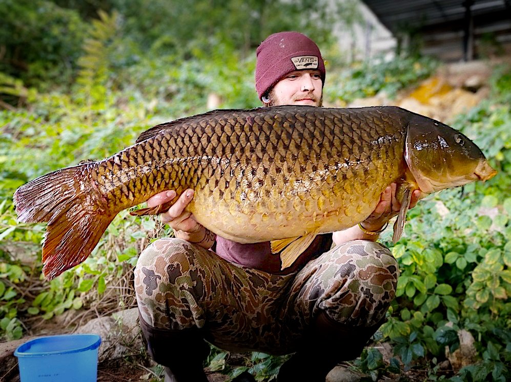 The Gentle Giant — American Carp Society