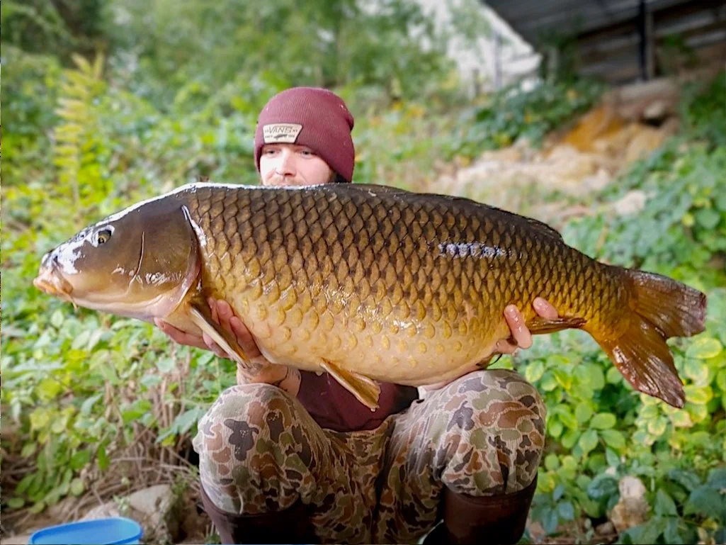 The Gentle Giant — American Carp Society