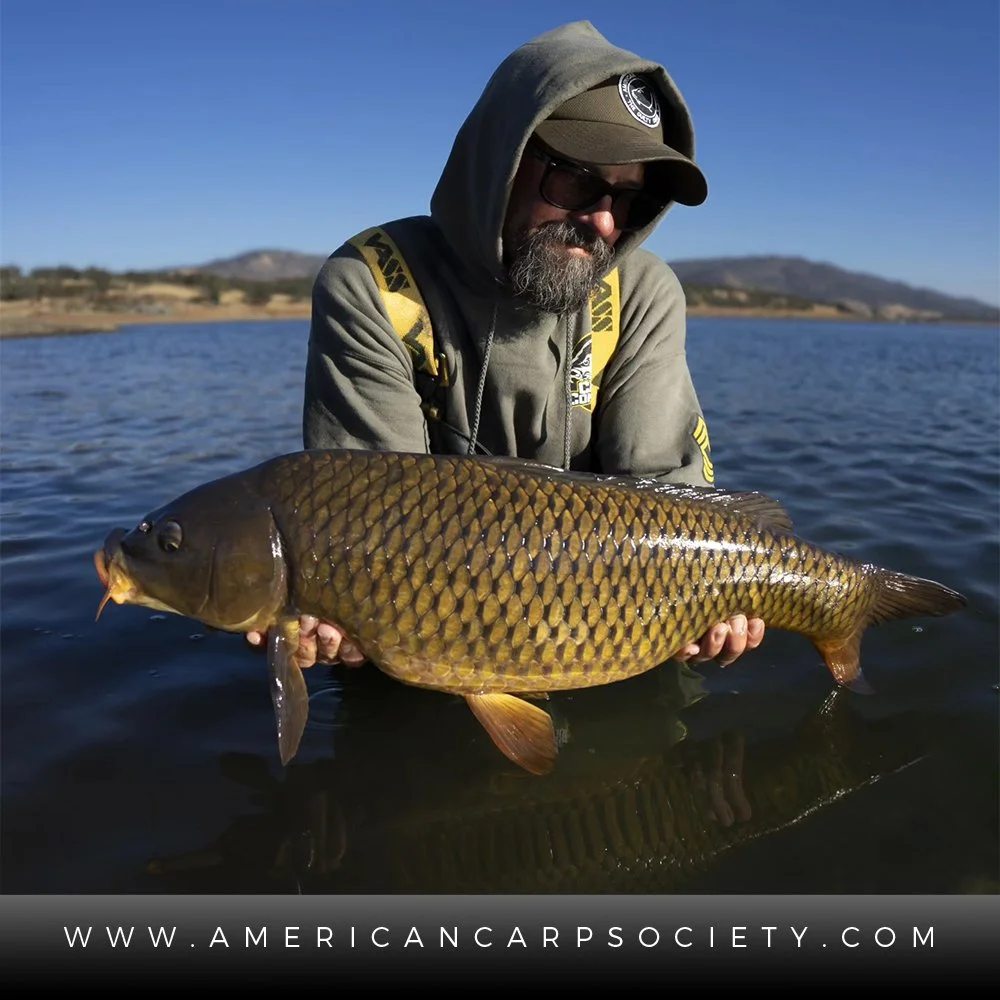 JANUARY 2024 EDITION — American Carp Society