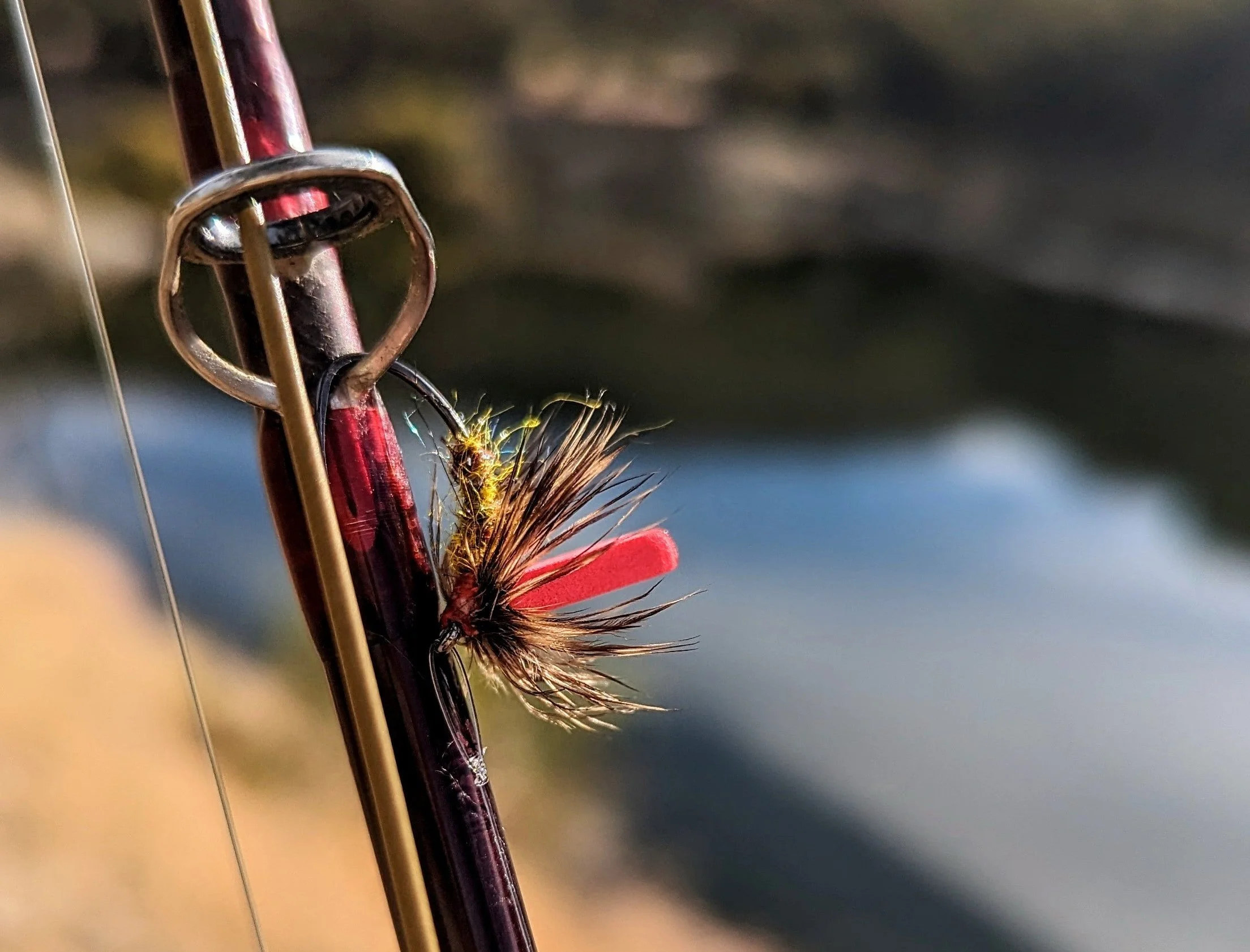 UNDERSTANDING CARP LEADERS — American Carp Society