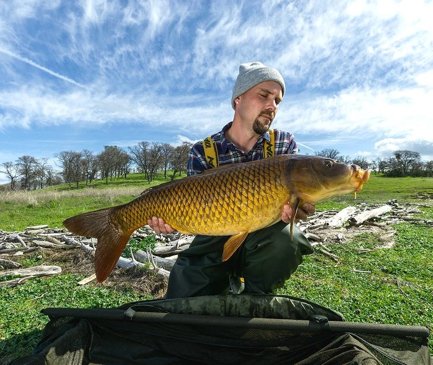 The Fall Notebook — American Carp Society