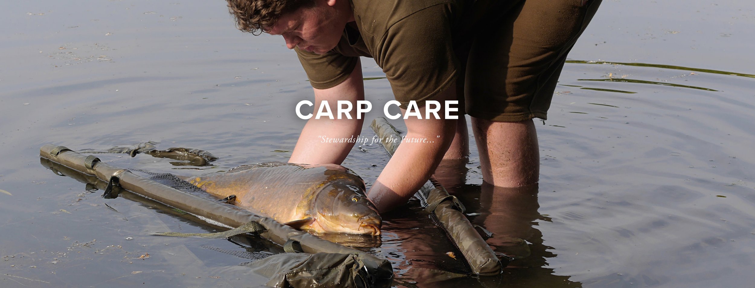 USA Carp Angling intro - Part 3 — American Carp Society