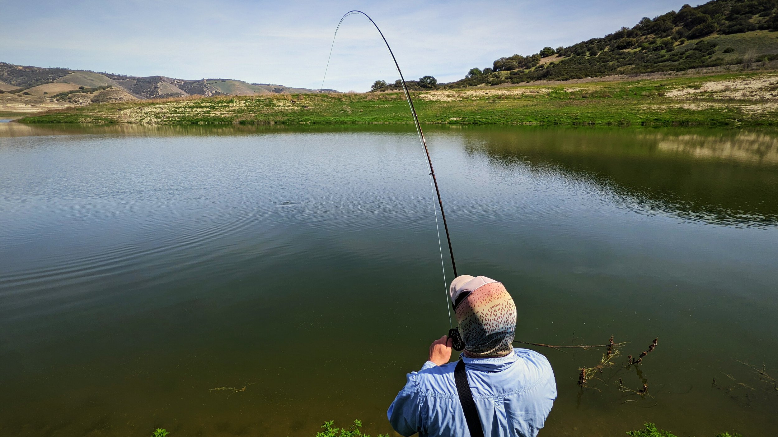 UNDERSTANDING CARP LEADERS — American Carp Society