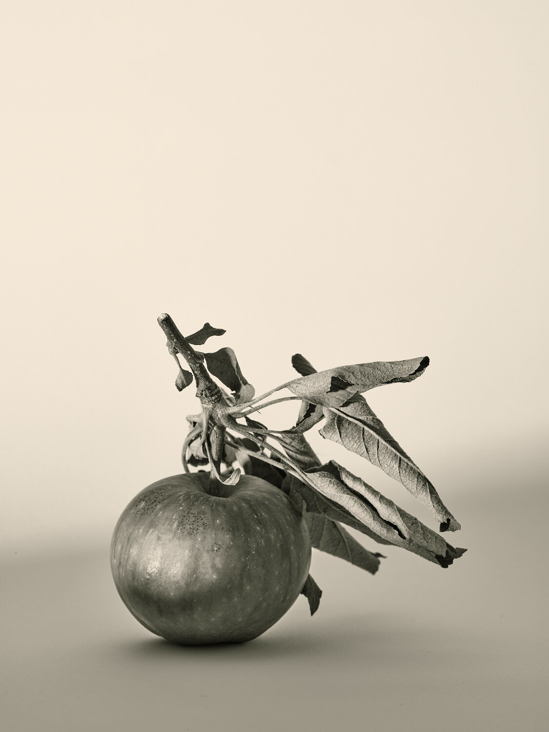 Photographer / Jeff Kauck