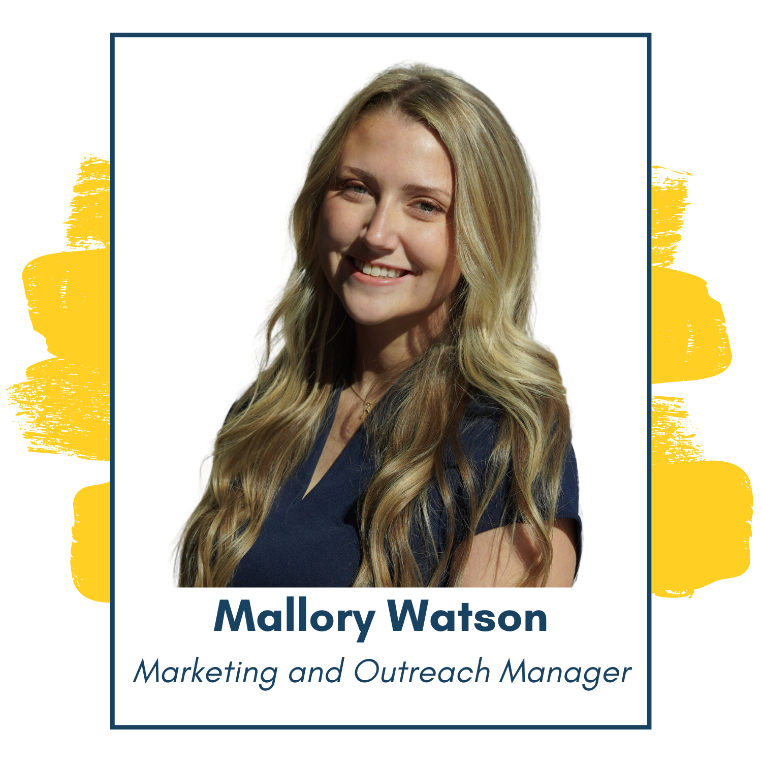 The Conductor—One-on-one consultations and coaching