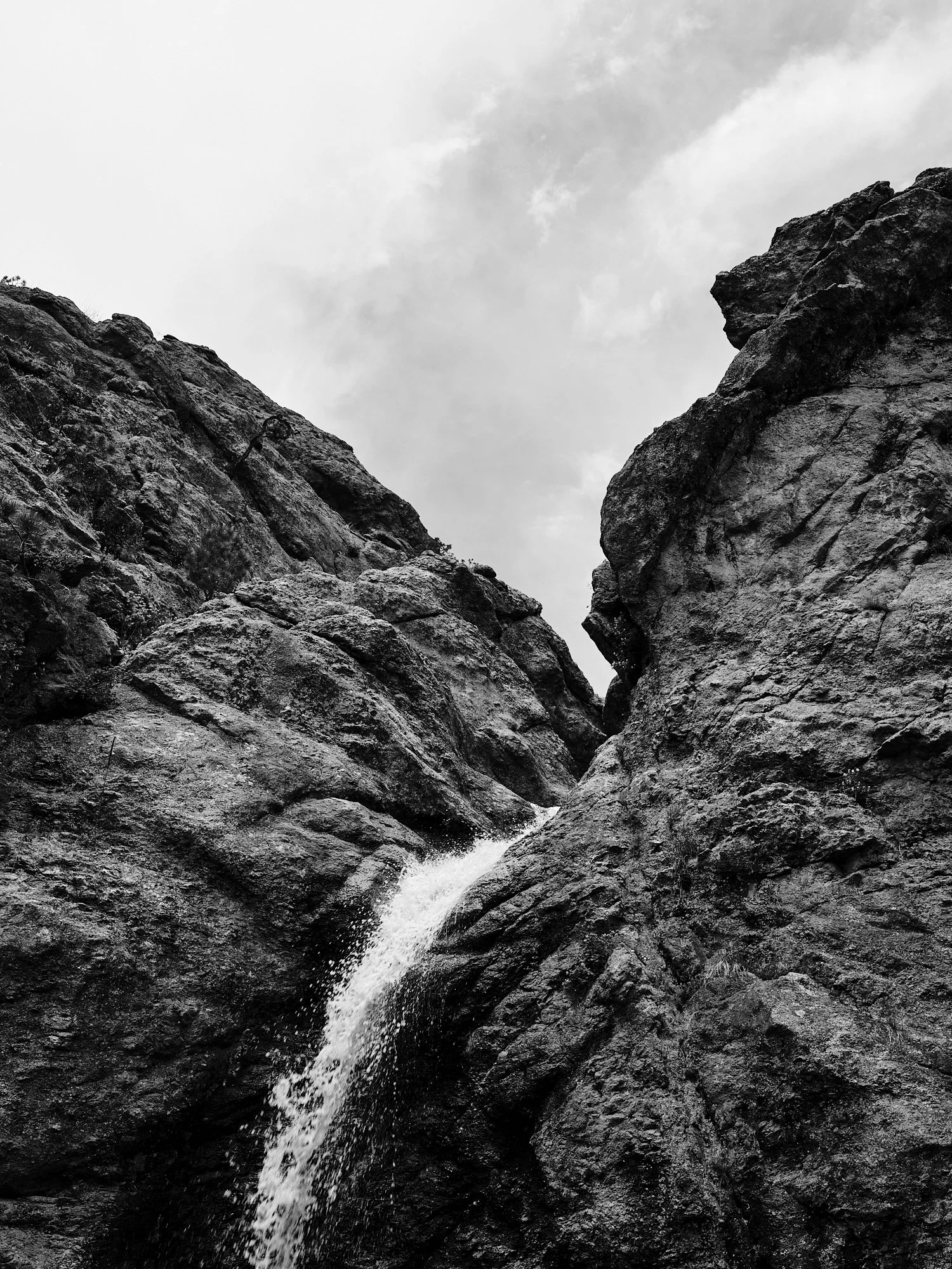 Josh Robinson Studio