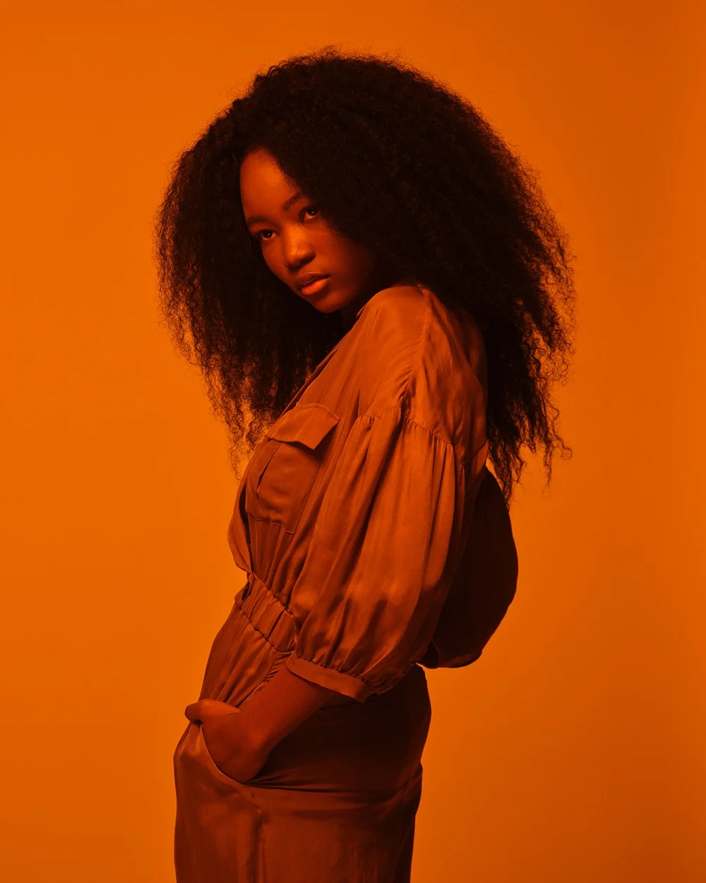 Josh Robinson Studio