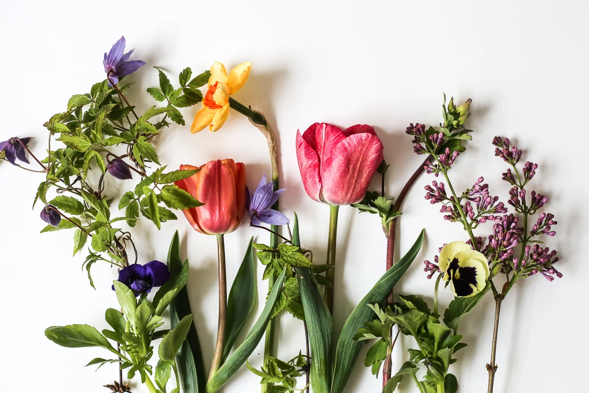 SÅ HÄR RITAR JAG BLOMMOR — Hanna Wendelbo Design