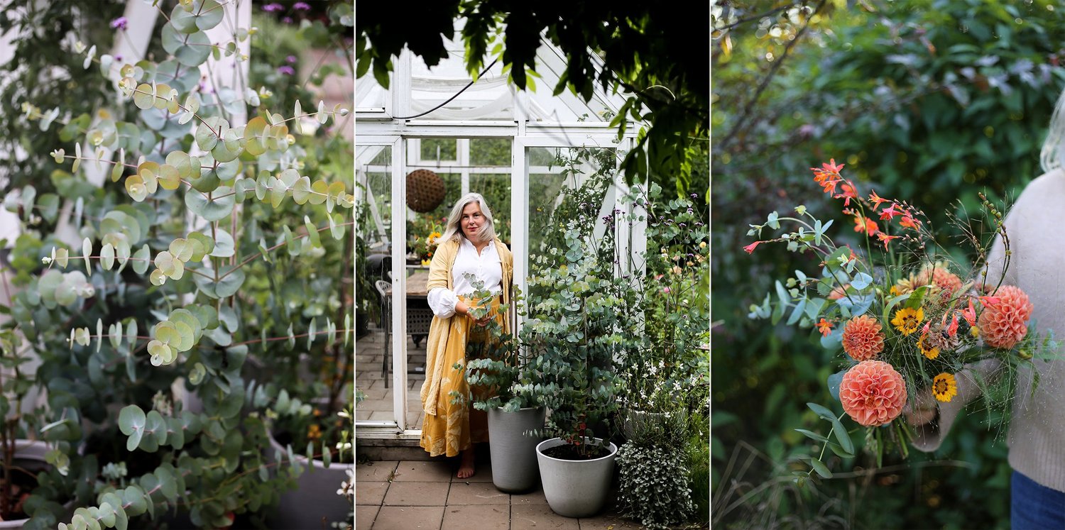 ODLA EUCALYPTUS-SÅ LYCKAS DU! — Hanna Wendelbo Design