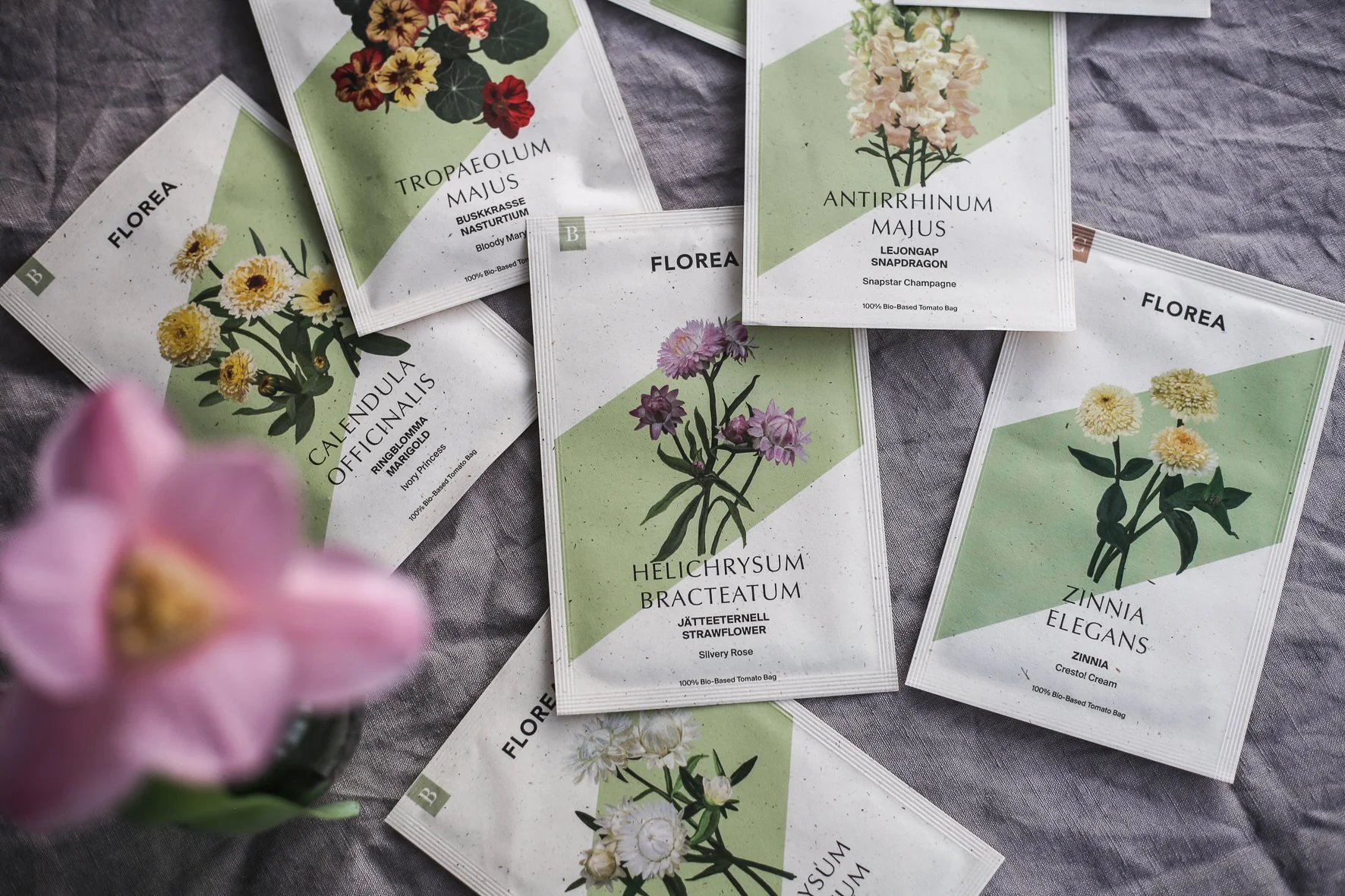 FLOREAS JULKALENDER SÅLISTA 2025 — Hanna Wendelbo Design