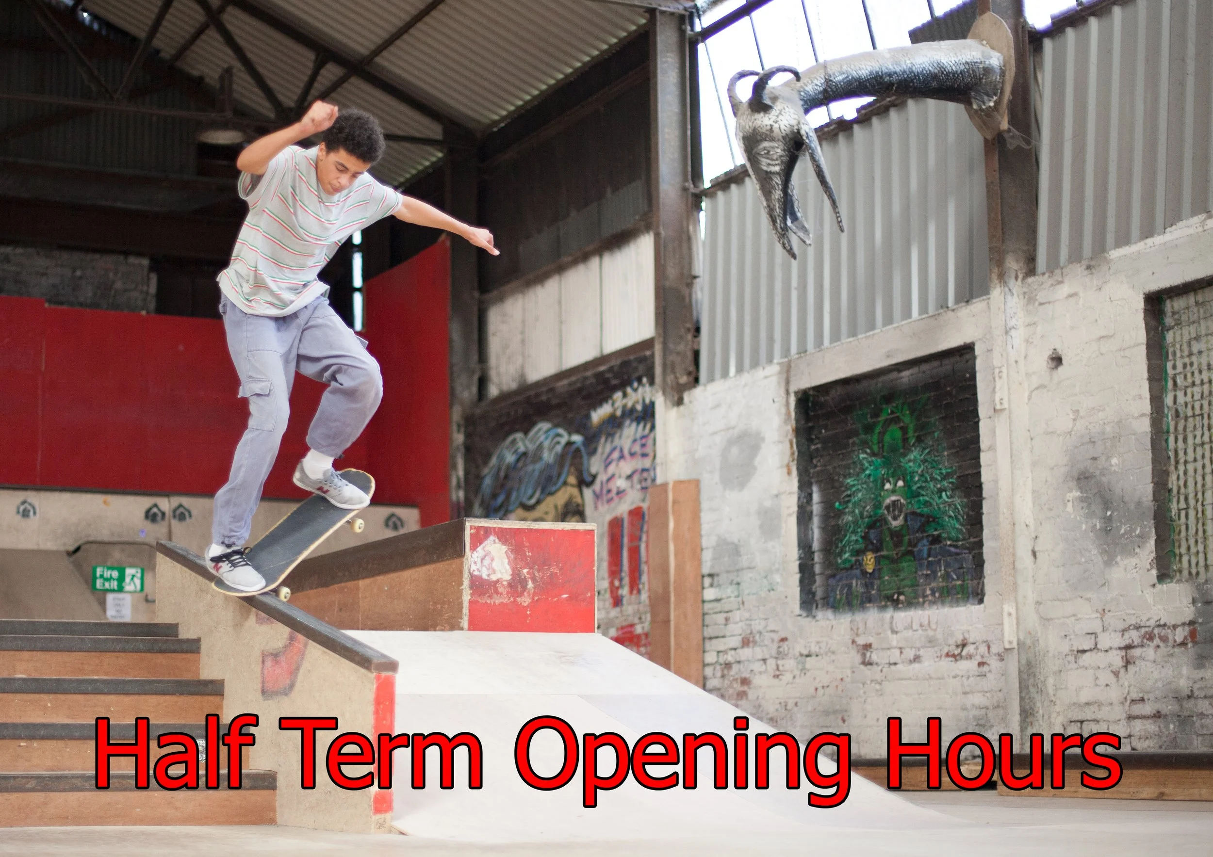 The House Skatepark