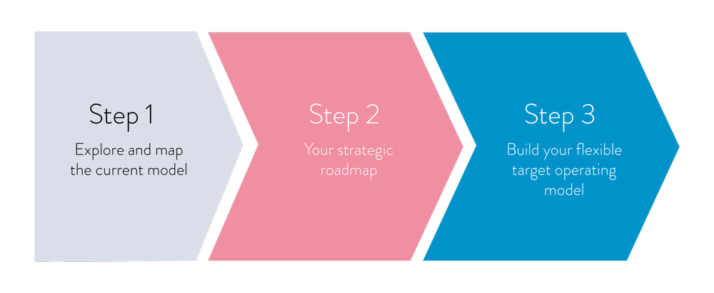 Flexible Target Operating Model — FINTRAIL