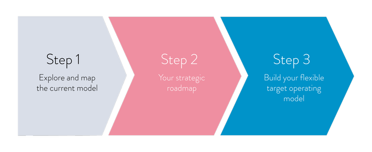 Flexible Target Operating Model — FINTRAIL