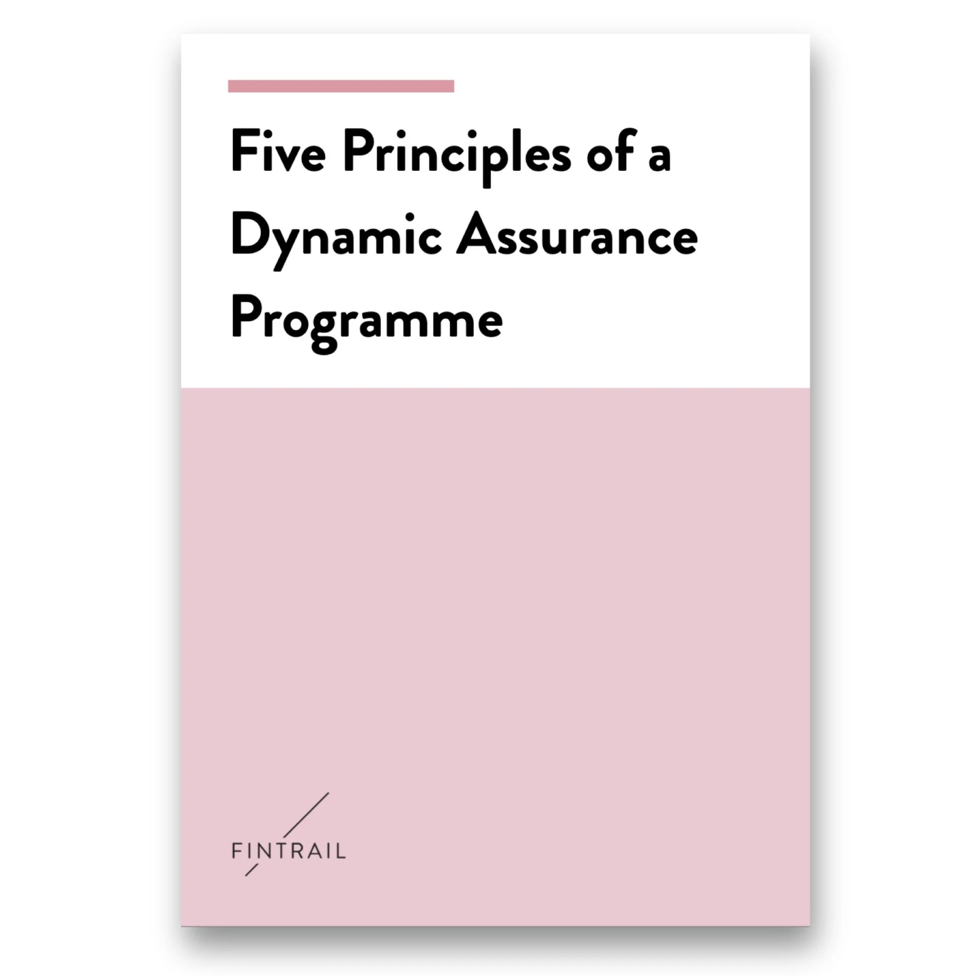 Five Principles of a Dynamic Assurance Programme — FINTRAIL
