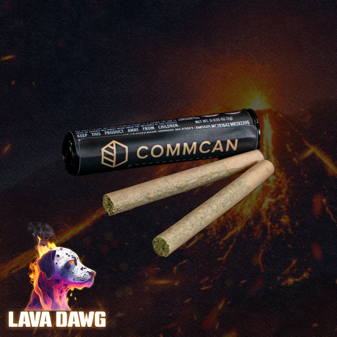 Lava Dawg — CommCan, Inc. - The Commonwealth Cannabis Company