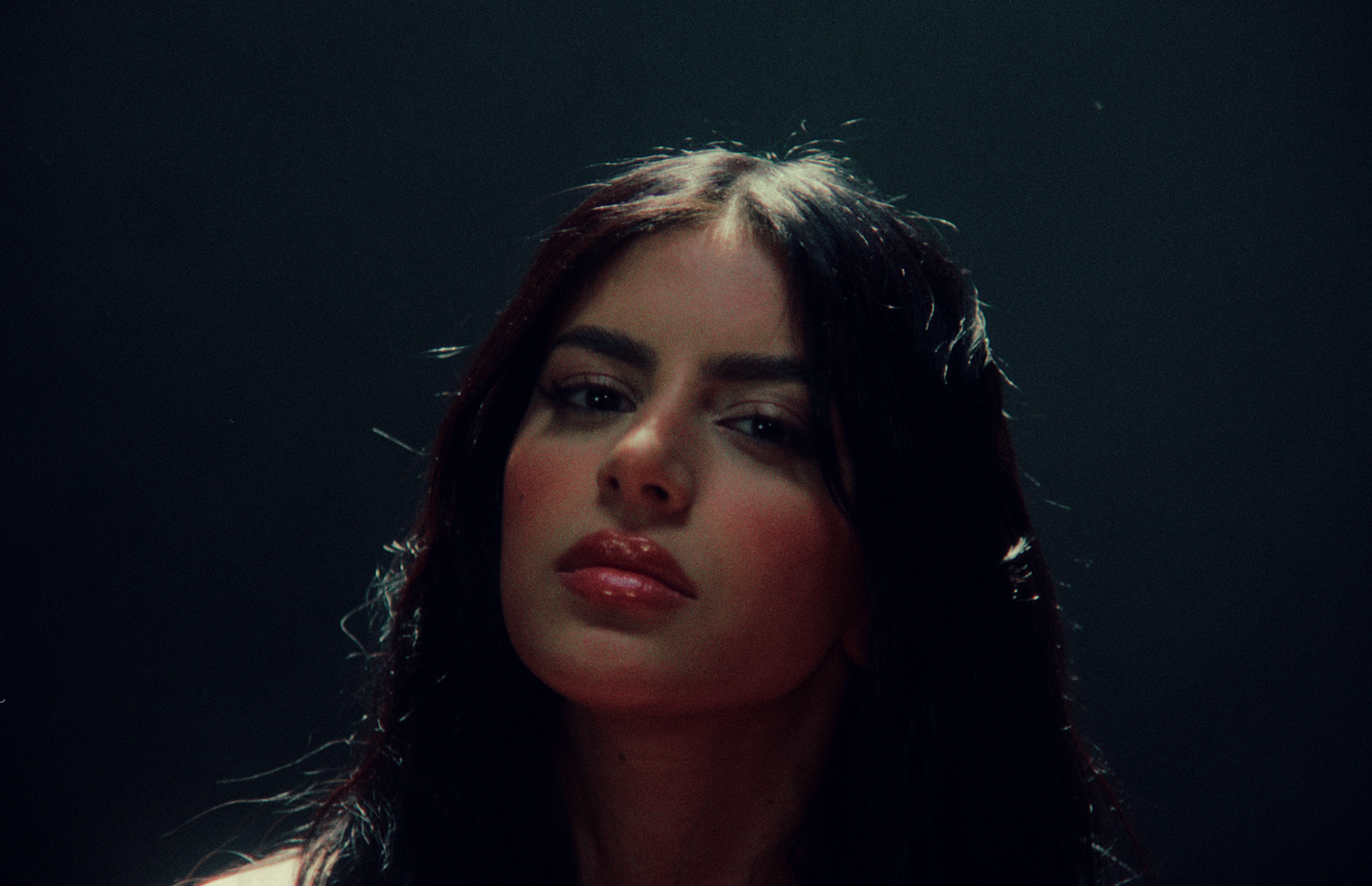 Rhys Warren | Cinematographer