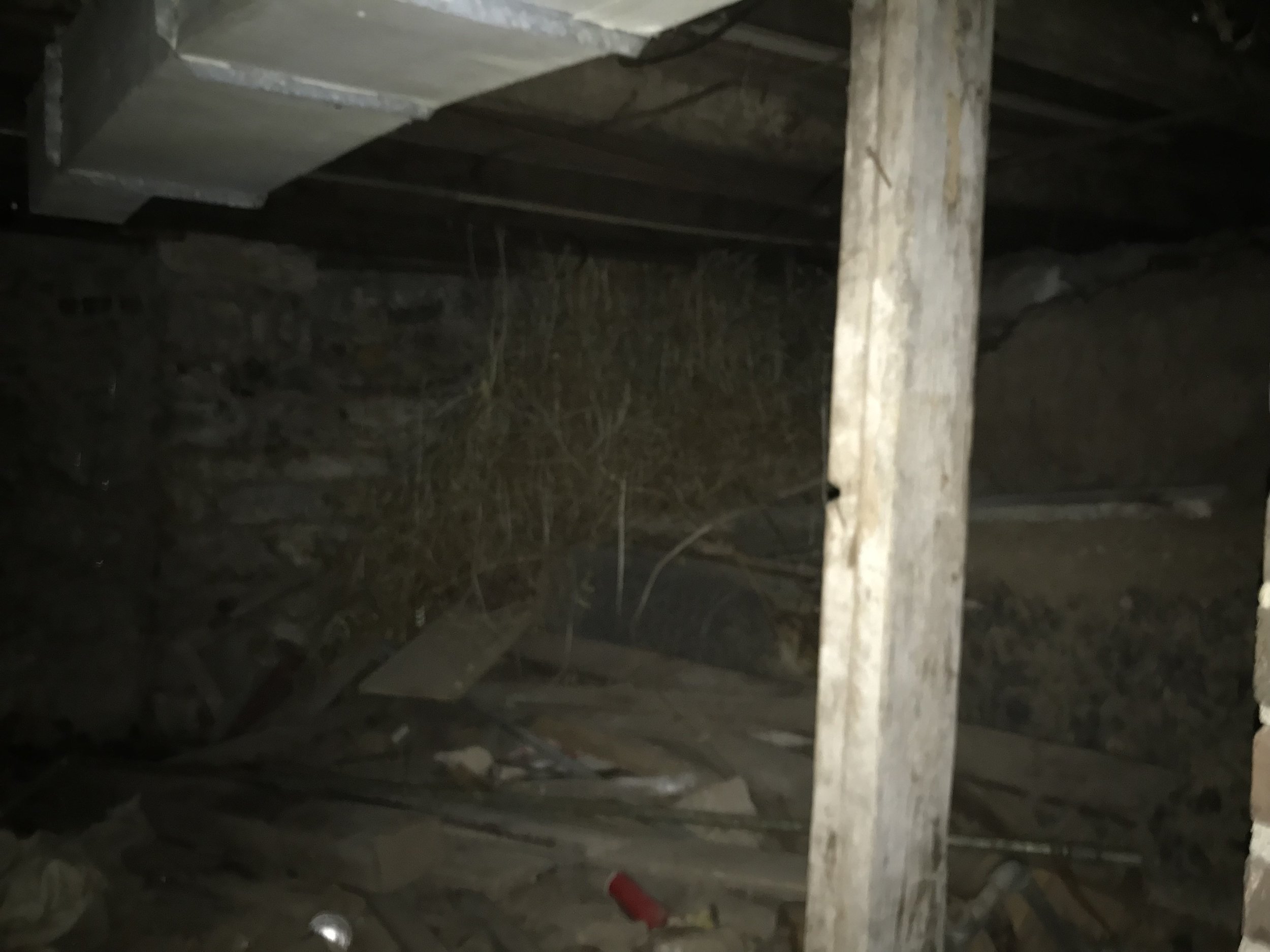 Ep 123: The Sallie House – Ghost in the Machine Part 1 — Astonishing ...