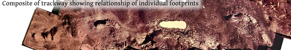 Ep 144: The Patterson-Gimlin Film Part 6: Conclusions with Bob Gimlin ...