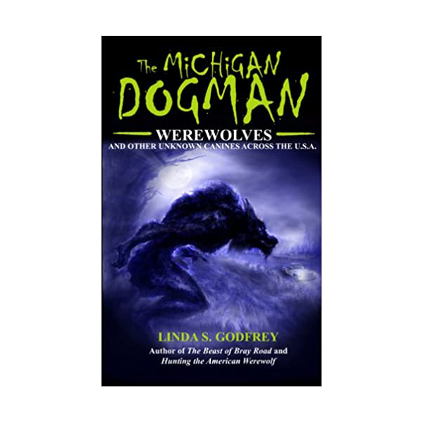 Bookstore — Astonishing Legends