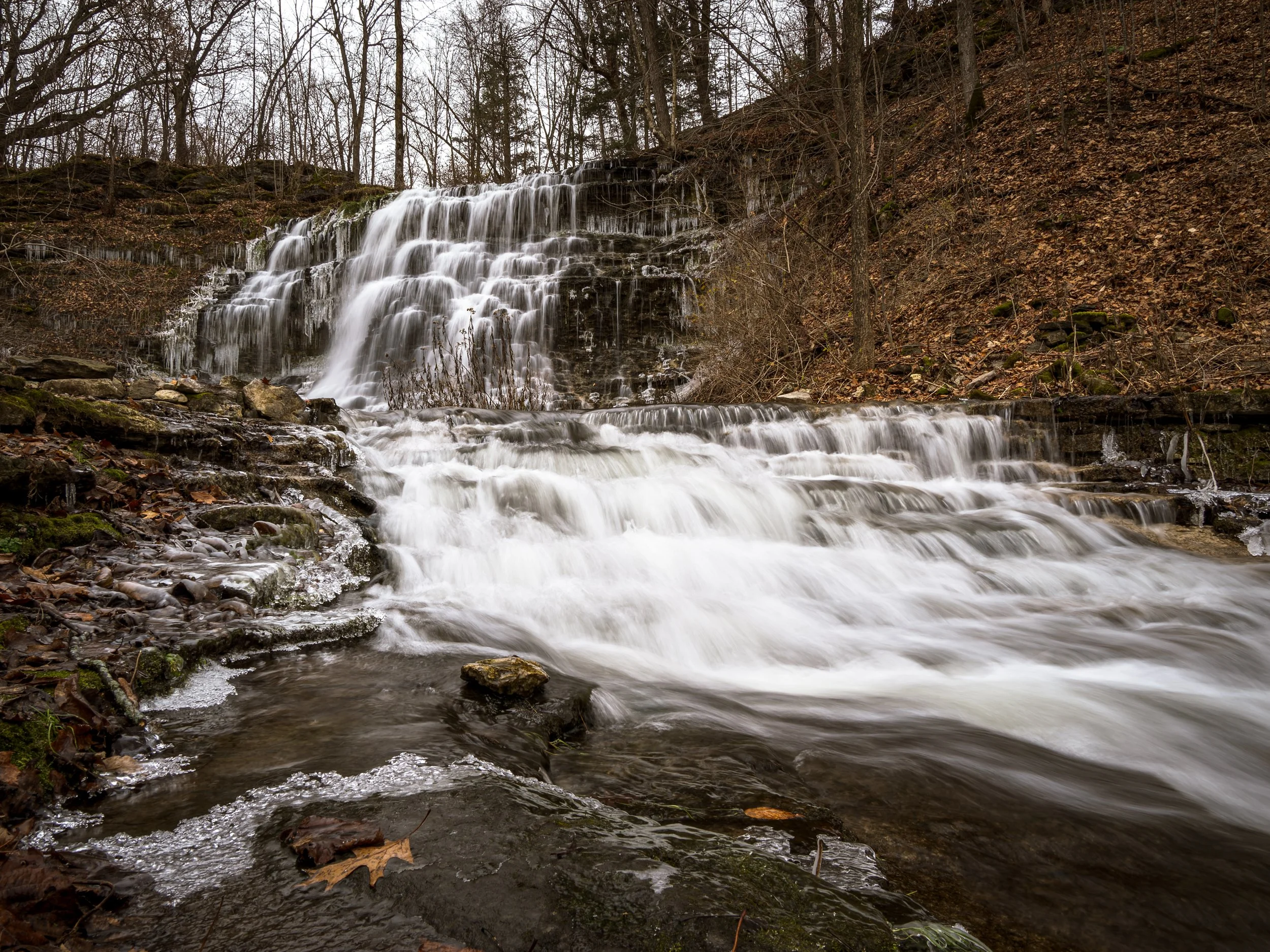 Walkabout Chronicles