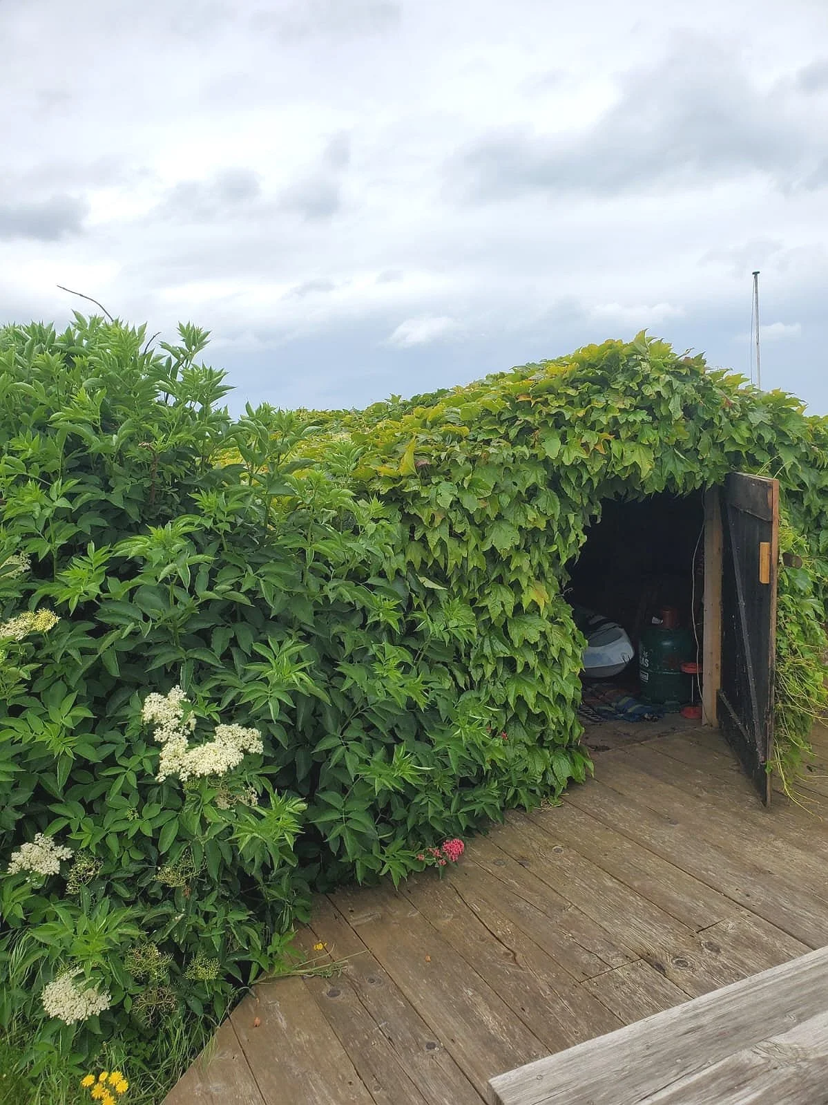 INTERIOR ARCHITECTURE & DESIGN / BORN DESIGNERS