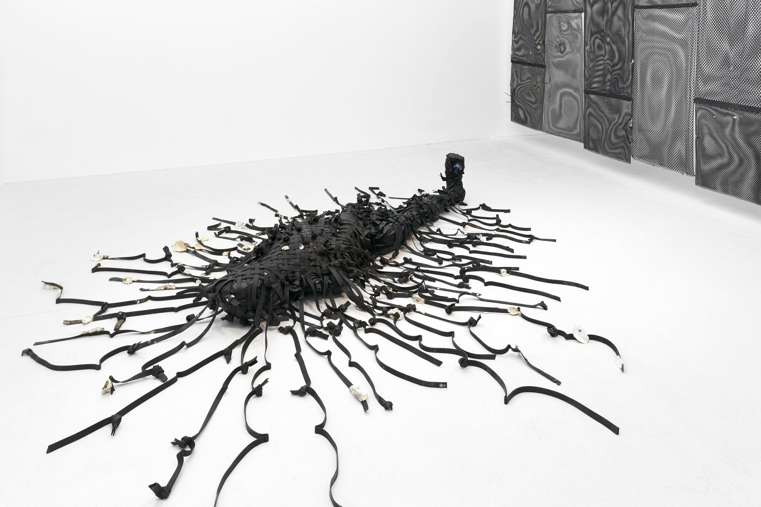 Rachael Louise Bailey