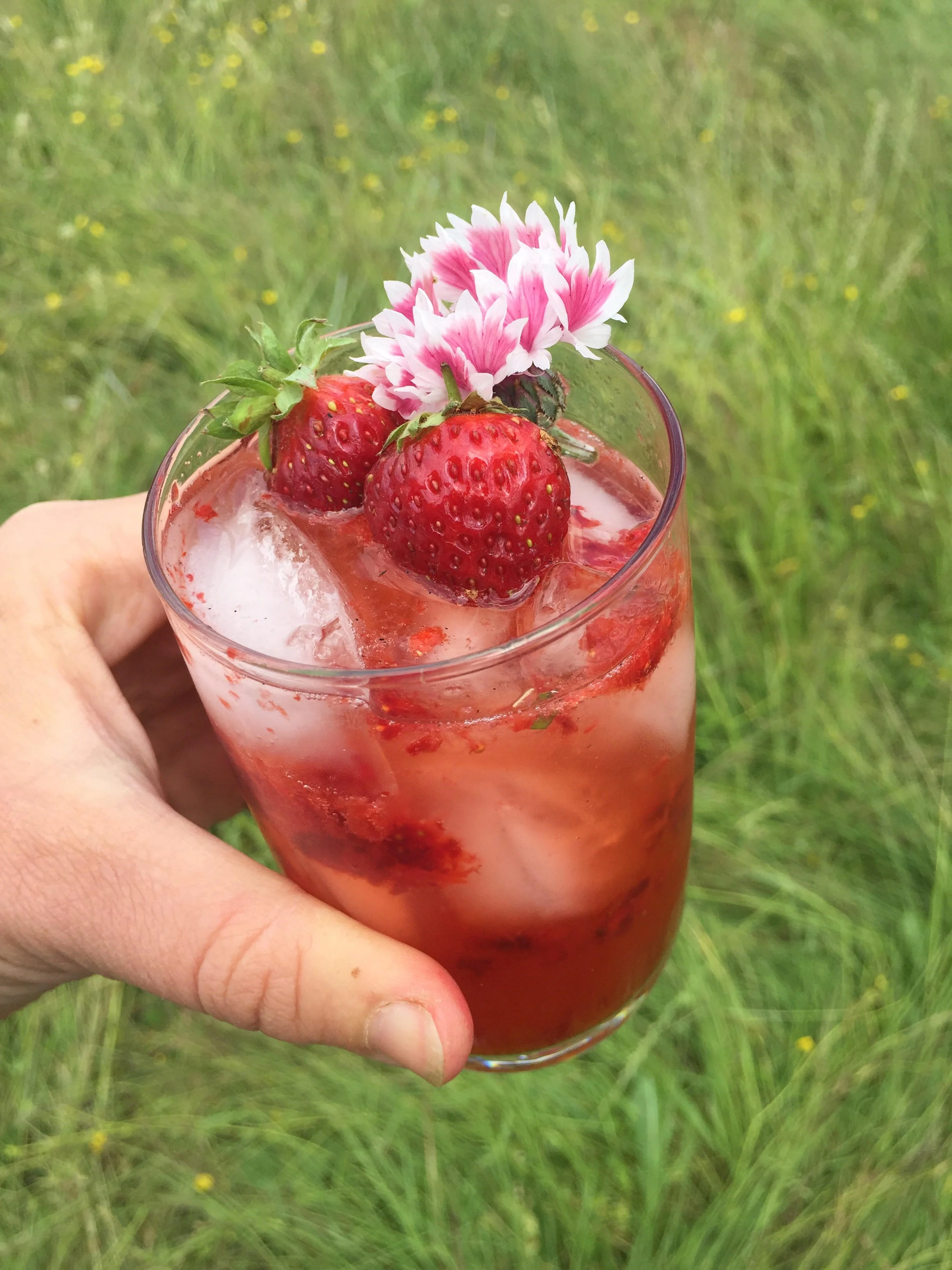 Blog — Happy Camper Cocktail Company