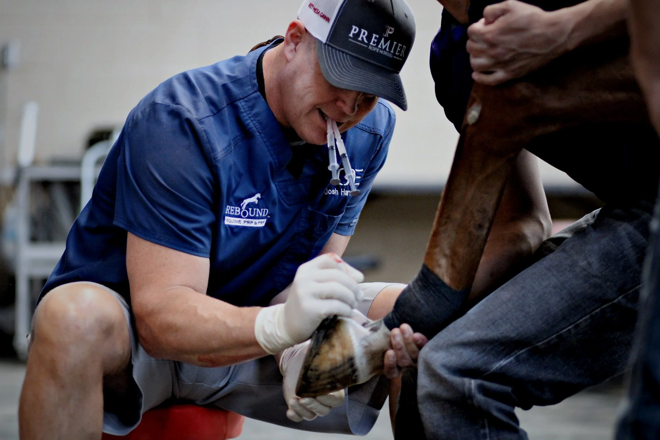 OE Clinic & Hospital — Outlaw Equine Hospital Rehab & Center