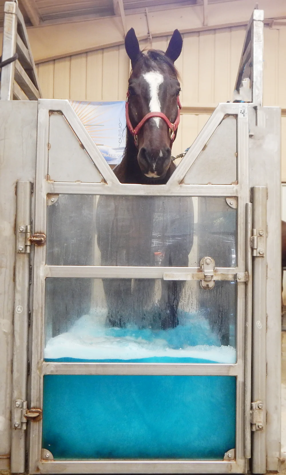 Rehab: Cold Salt Chambers — Outlaw Equine Hospital Rehab & Center